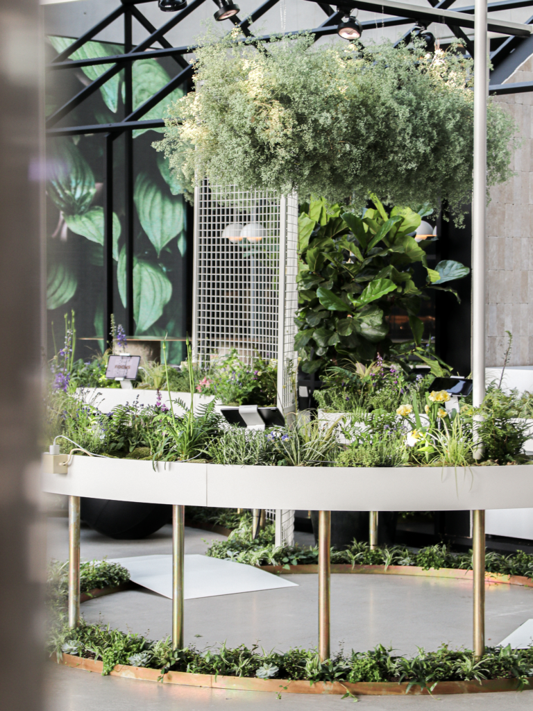 HUGO BOSS feel-good garden | Future Supply
